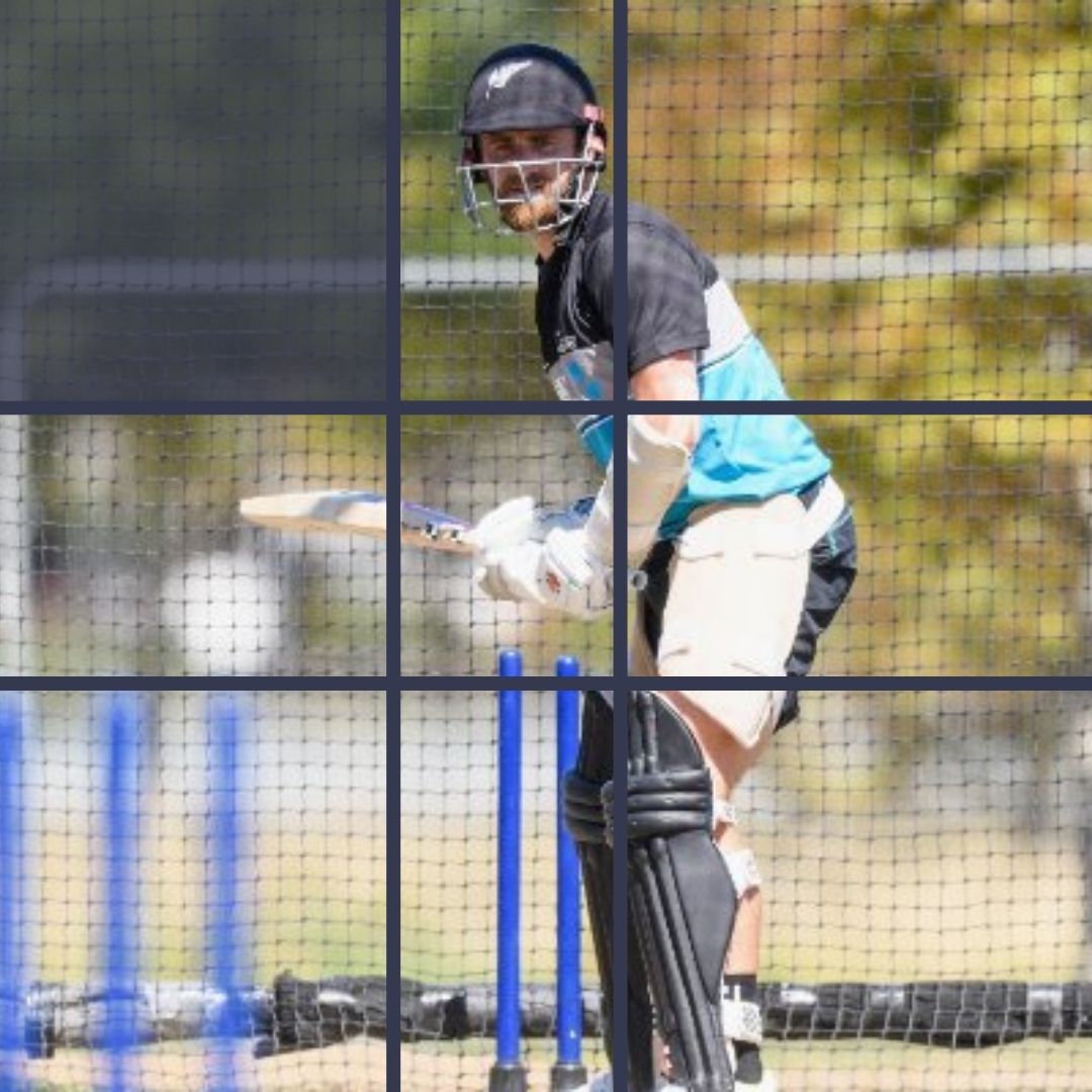 Where will the batter hit the ball? – InForm Cricket